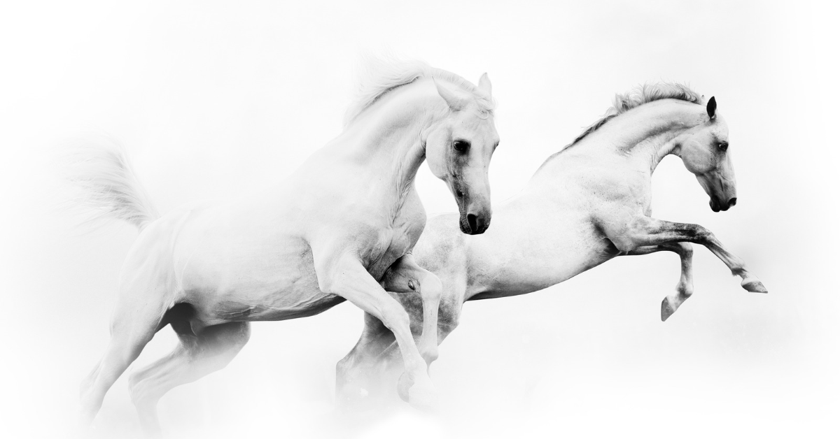 Ashwini Nakshatra: The Healing Star - Acharya Rajhkumar Singh